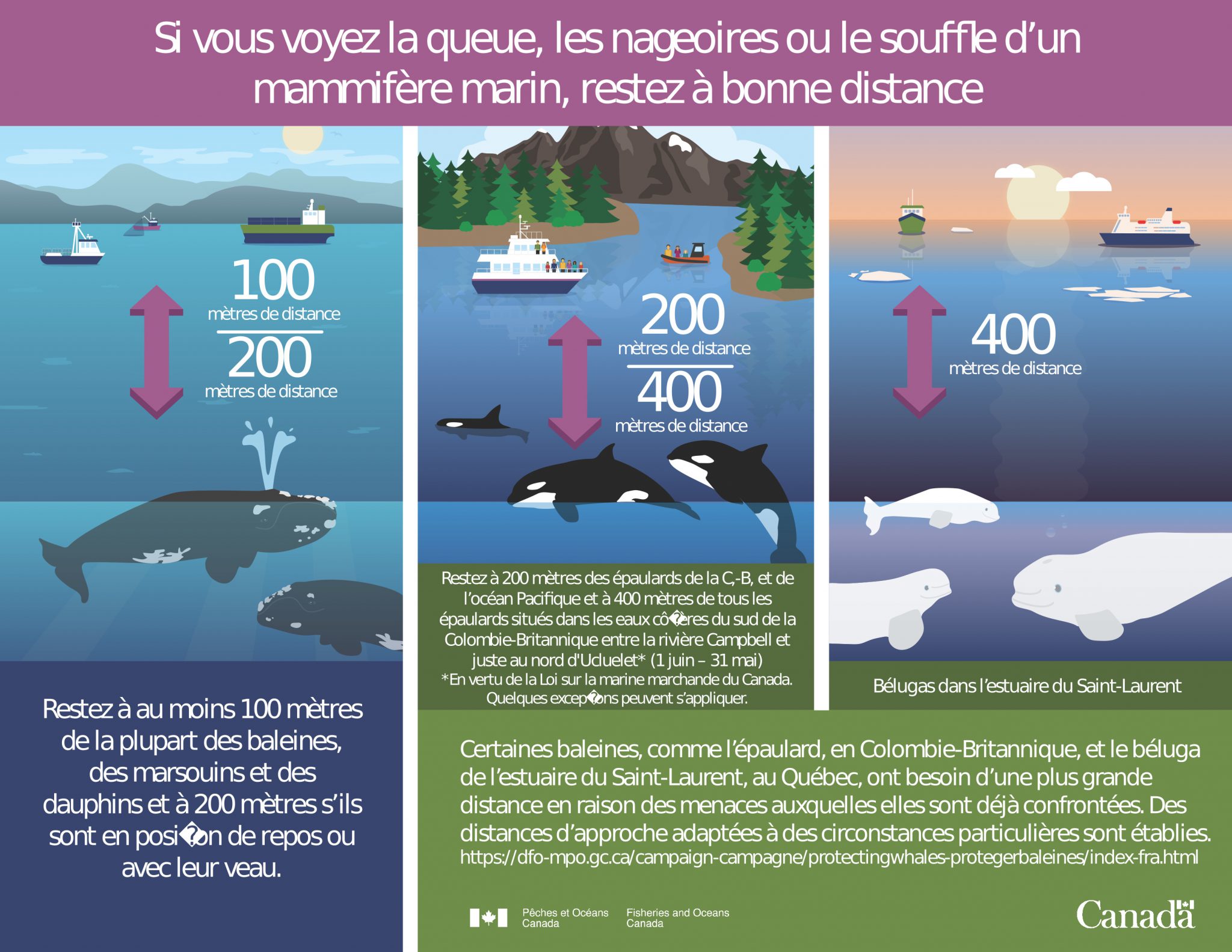 Photo-3-MPO_NCR_Marien-Mammals-Distance-Poster - Québec Yachting